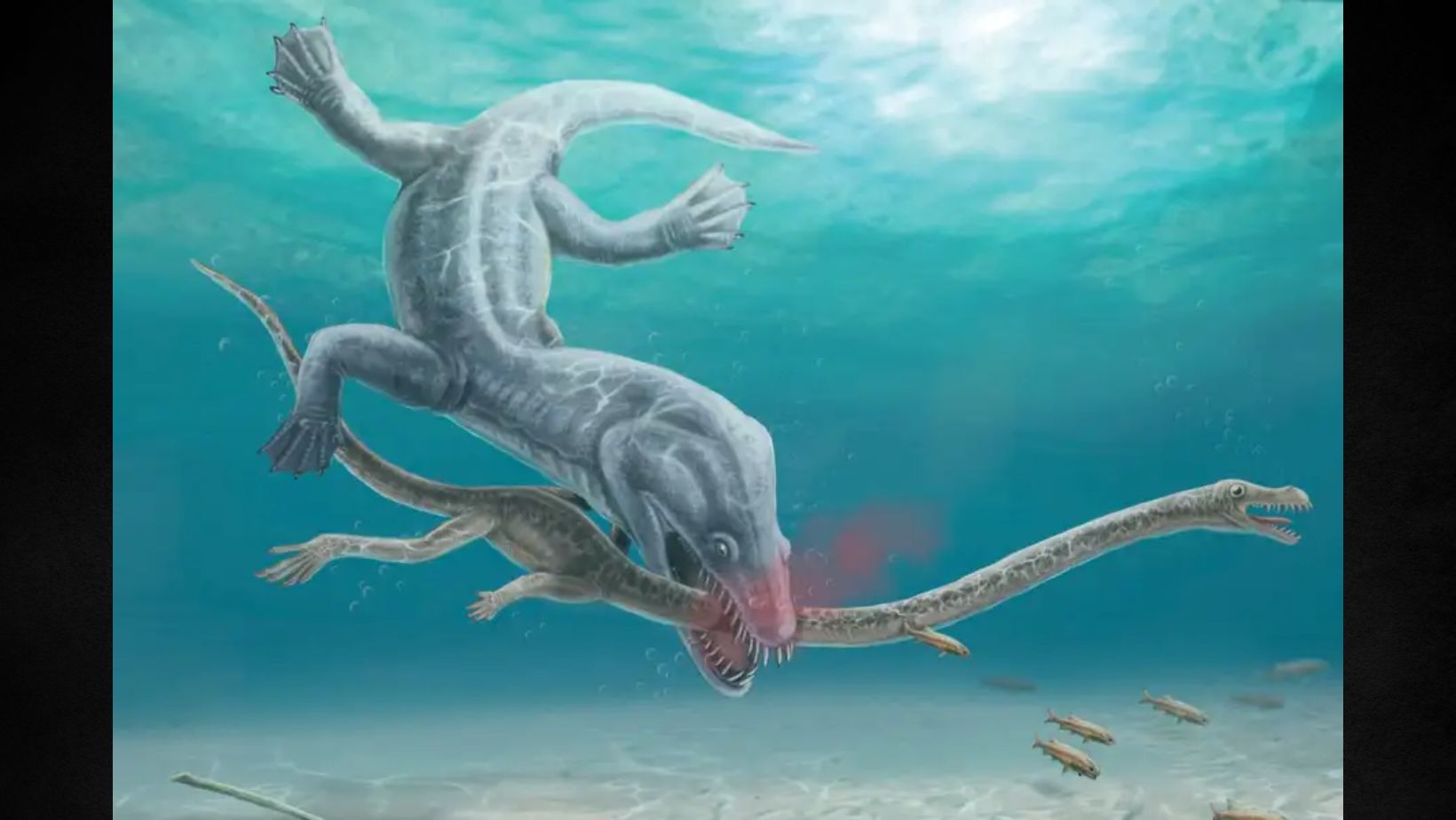 Scientists Discover 240-Million-Year-Old “Chinese Dragon” Fossil | Odd ... Scientists Discover 240-Million-Year-Old “Chinese Dragon” Fossil | Odd ...